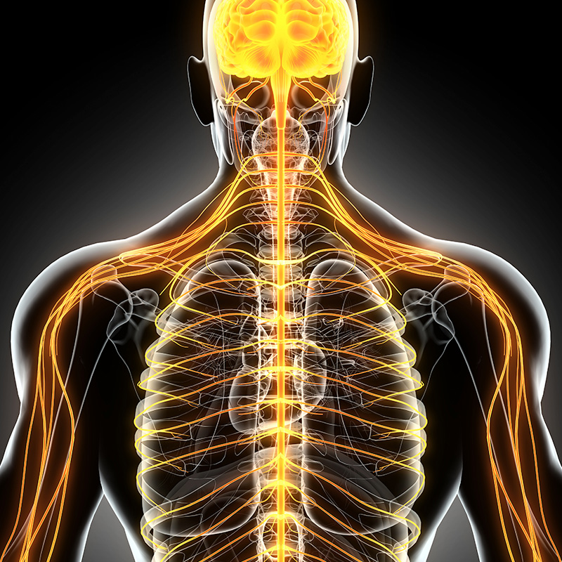 Nerve Conduction Studies | Treatment | AMR Pain & Spine Clinic